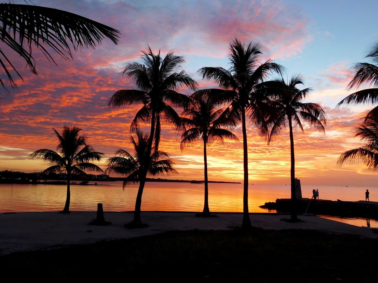 Palexia france acheter — Nuit pas cher pas cher